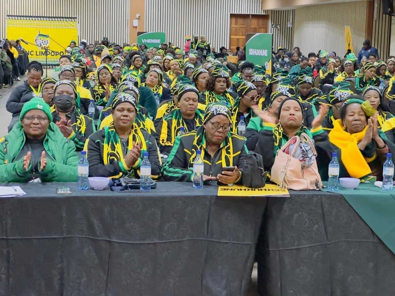 Mamedupi Teffo Elected As Limpopo ANCWL Chairperson - African Times