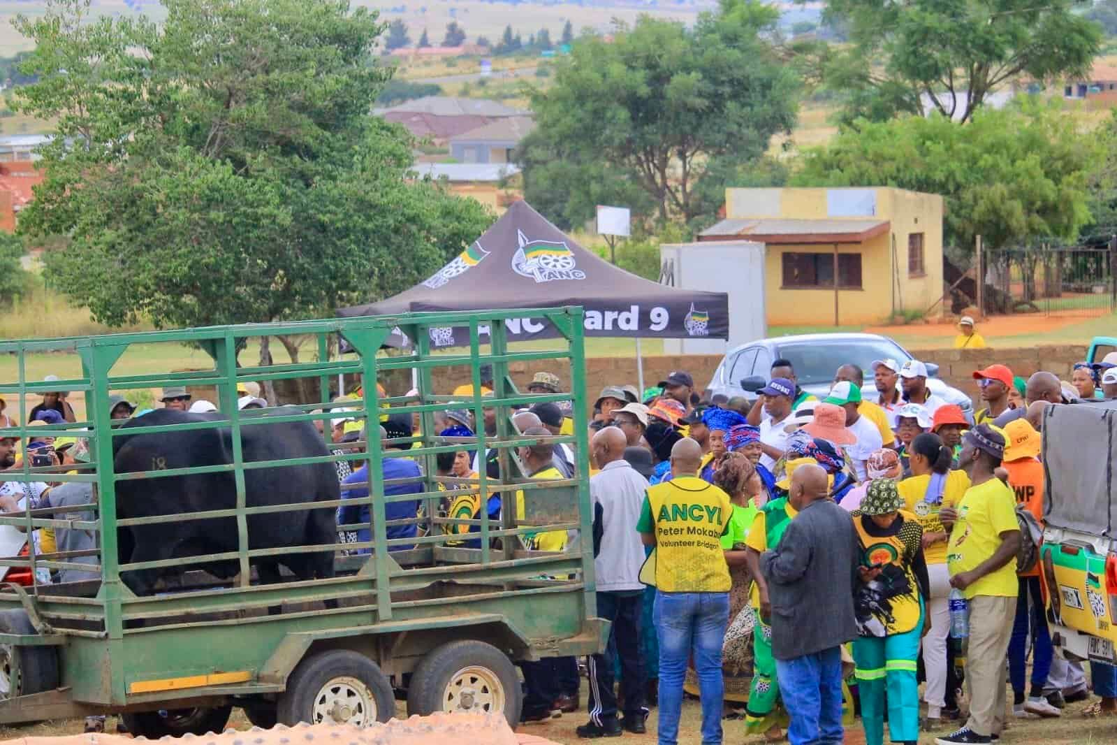 We’re Narrowing The Gap Between ANC and Traditional Leaders, Says ...