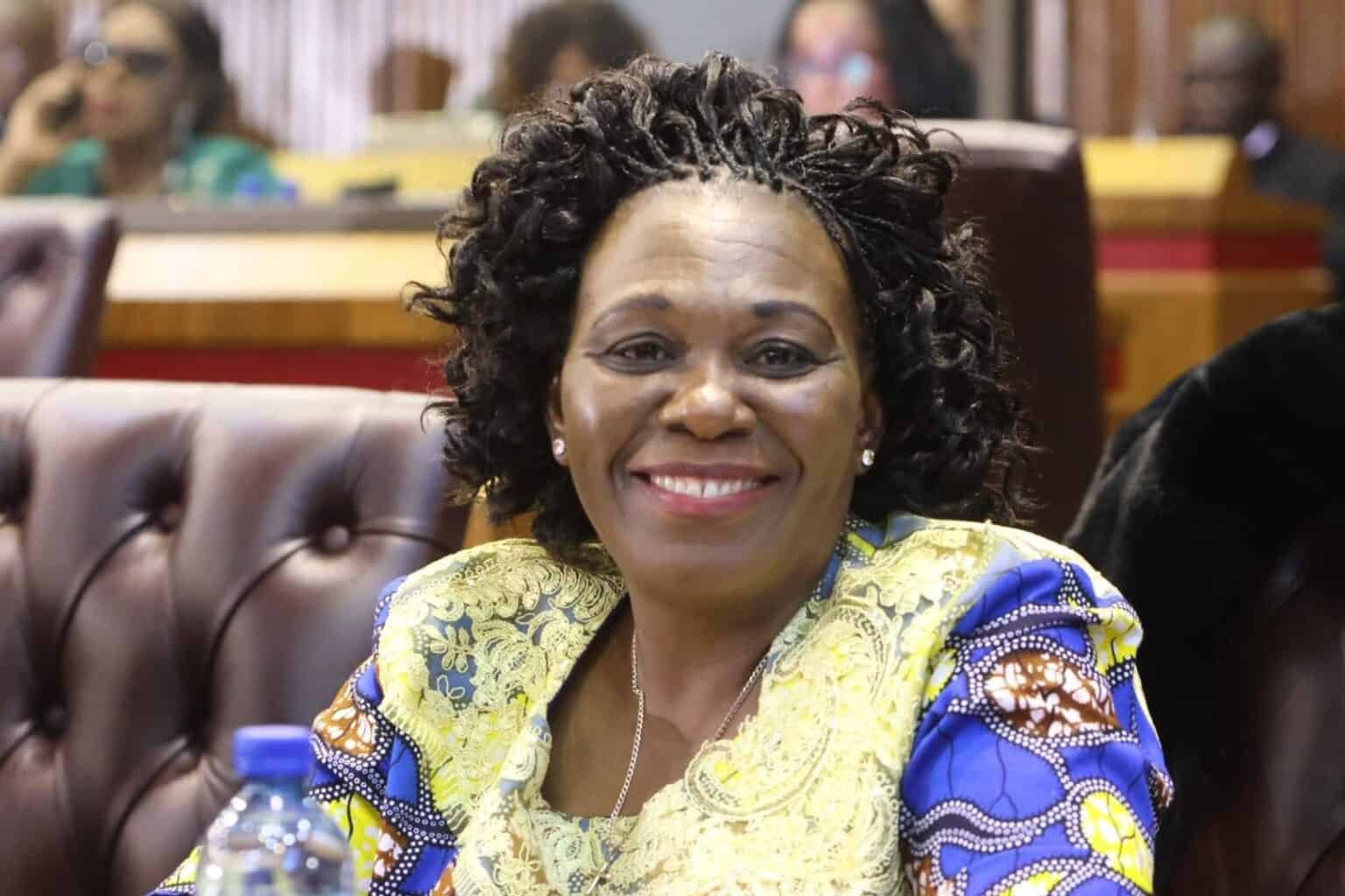 Mandla Ndlovu Elected Mpumalanga Premier - African Times