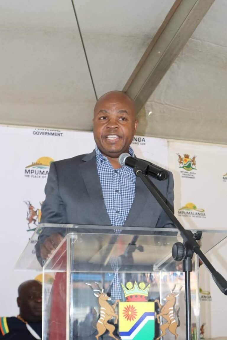 High Court Instructs Mpumalanga Premier Mandla Ndlovu to Resolve Yende ...