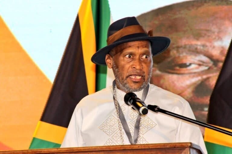 Crisis in Blue: South Africa’s Police Under Fire for Rising Criminality ...